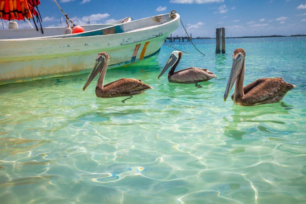 Yucatán Halbinsel: Unsere Tipps für Urlaub in Mexiko