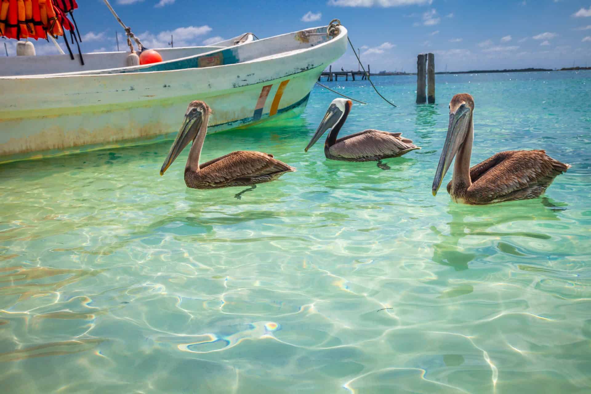 Yucatán Halbinsel: Unsere Tipps für Urlaub in Mexiko