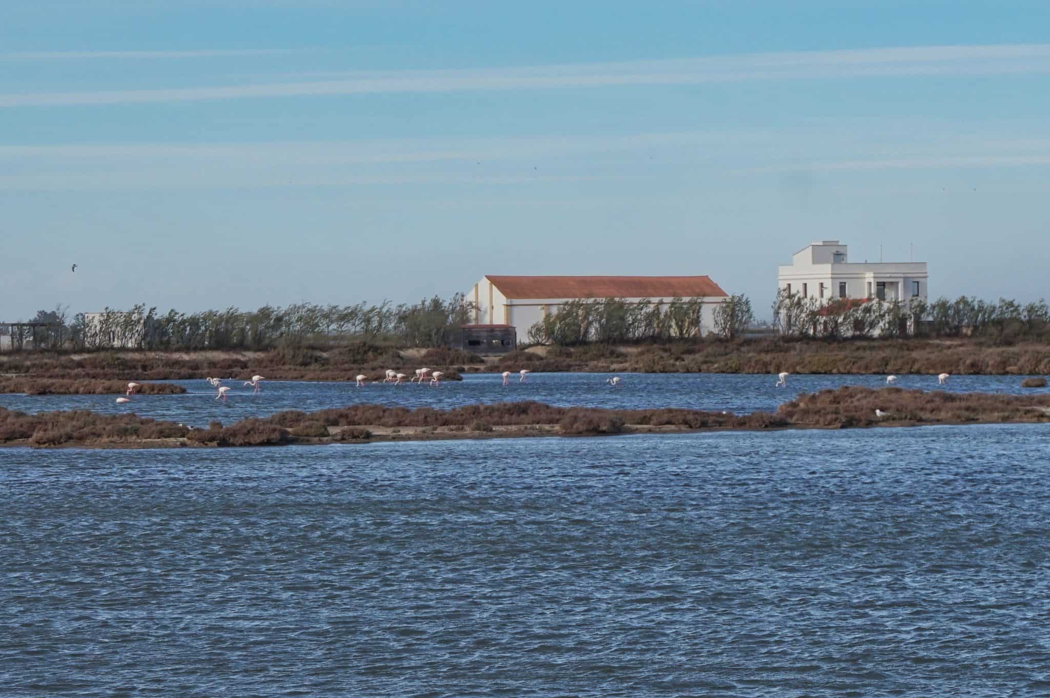 Ebro Delta Spanien: Naturpark für Flamingos, Strände und Reis