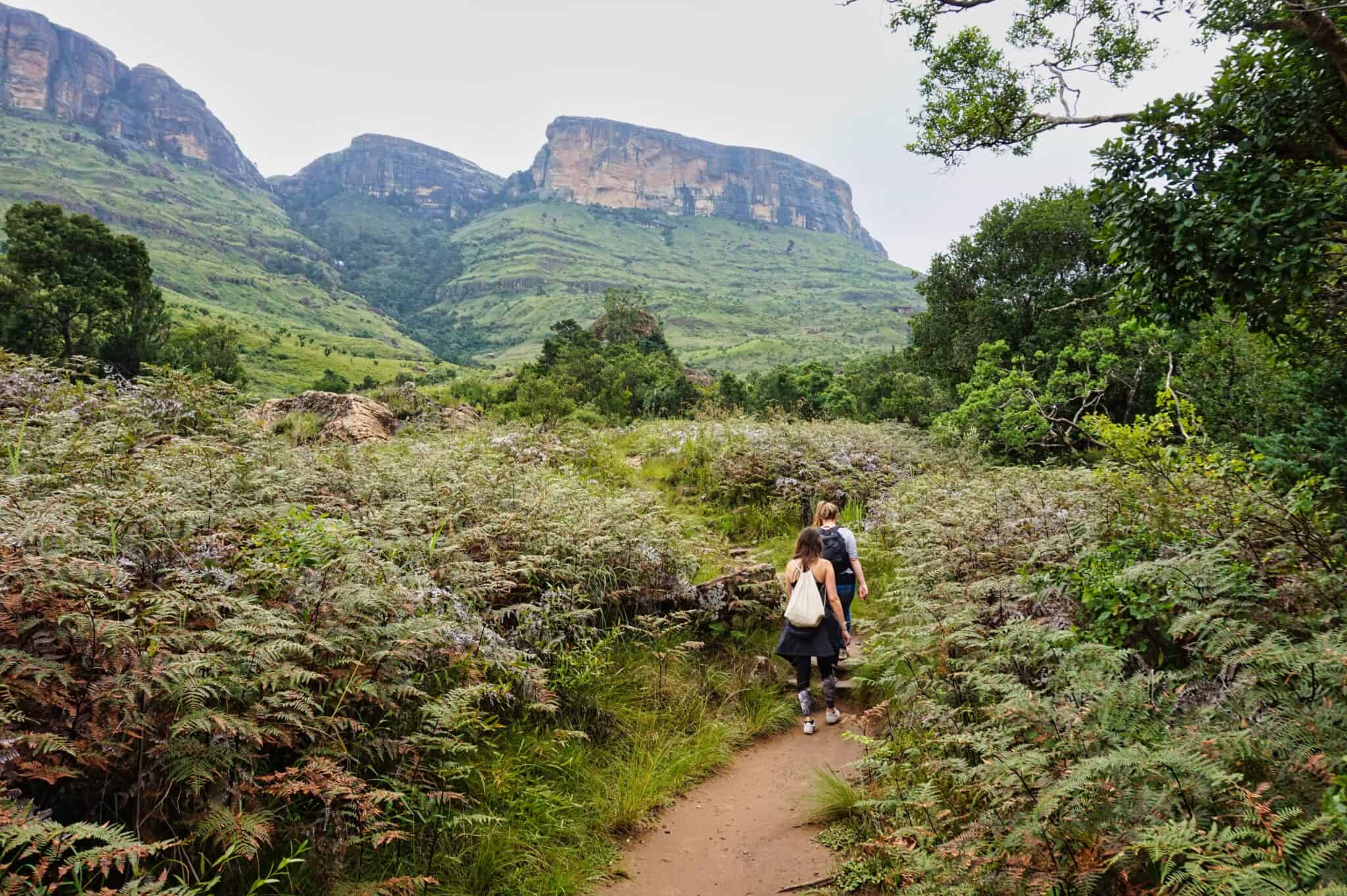 Drakensberge Südafrika: Wanderungen, Highlights & Tipps